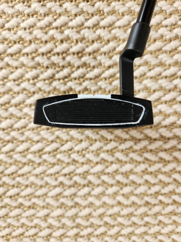 Spider GTX L Neck w/ custom insert & BGT Stability Putter Shaft - For ...