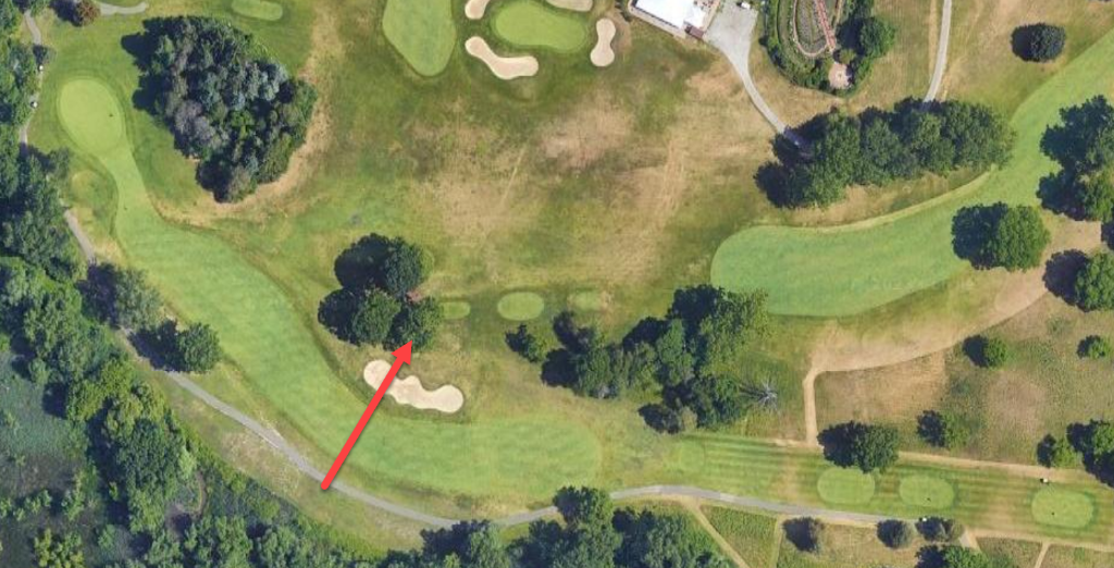Relief from fallen tree - Rules of Golf and Etiquette - GolfWRX