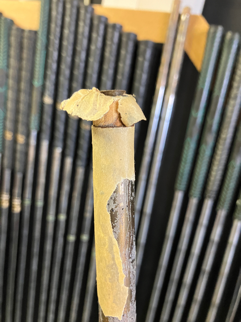 Silver Scot 985T wood dowel shaft extensions - Hickory, Persimmon and ...
