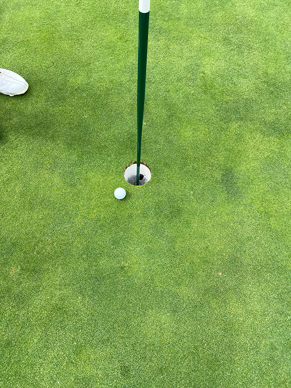 "Almost" Hole in Ones -- Are you happy or frustrated? Tell your stories ...