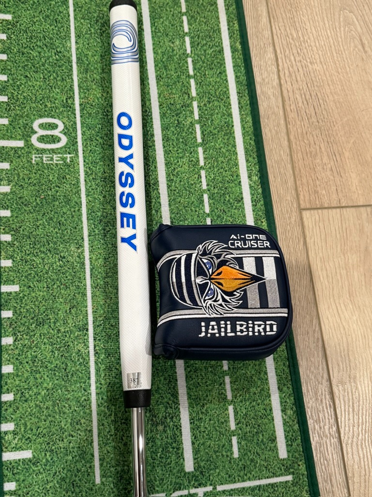 Odyssey Ai-ONE Jailbird CRUISER - Like New - For Sale Archive-For ...