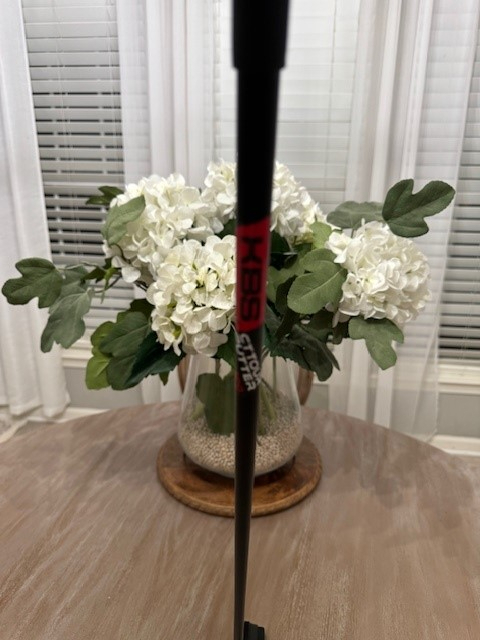 Ping PLD Custom and Odyssey Rahm with TC serial number! - For Sale ...