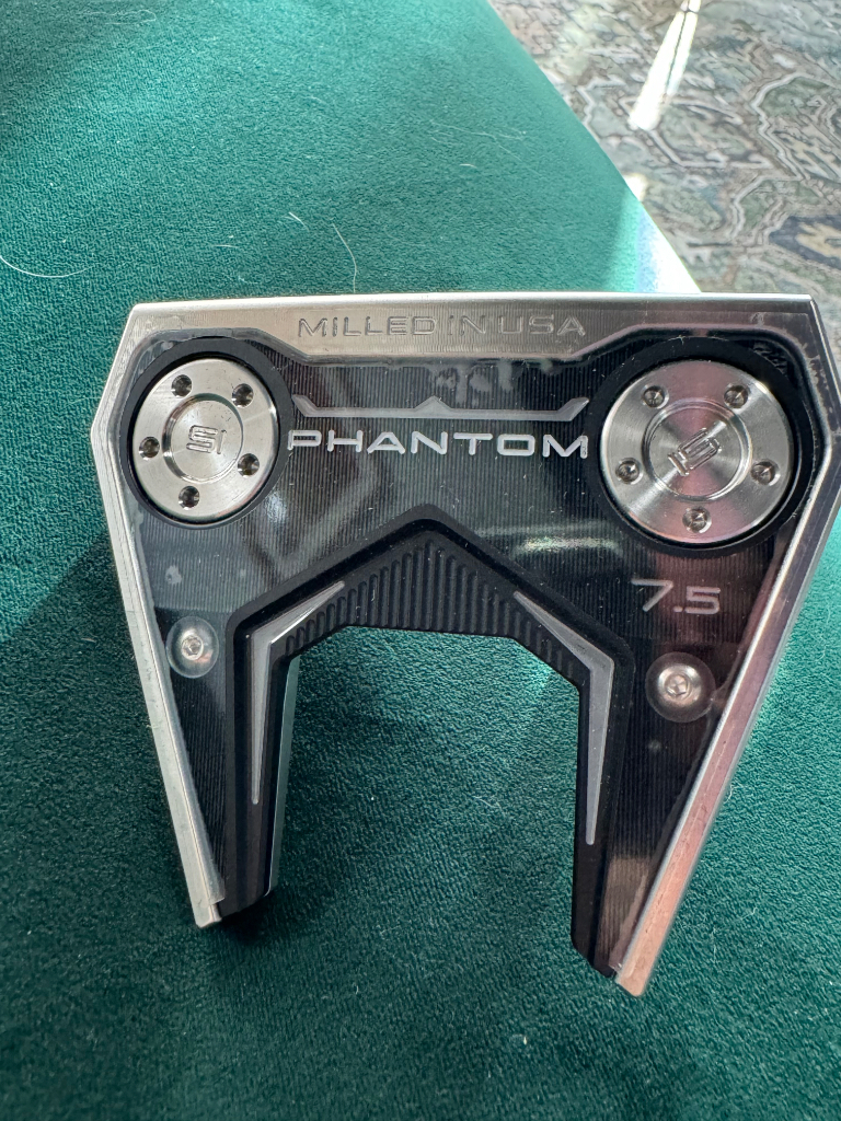 Scotty Cameron Delmar with Tour Stability shaft /Ping Irons i525’s ...