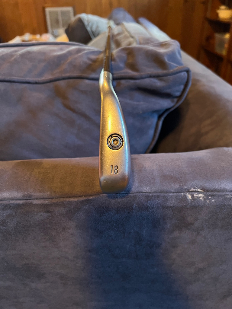 Foreward Golf Irons 4-PW / Callaway AI Smoke Max Head 10.5 / Corey Paul ...