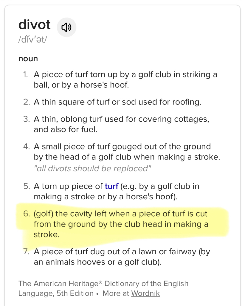 Upon Further Review… (Fairway Divots) - Rules of Golf and Etiquette ...