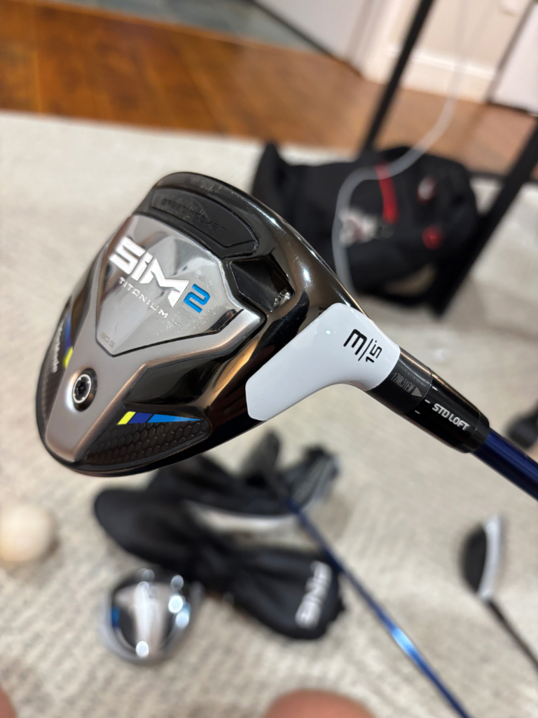 Cool Stuff in great shape - Take a Gander (OG Sims, Sim2, G425 LST ...